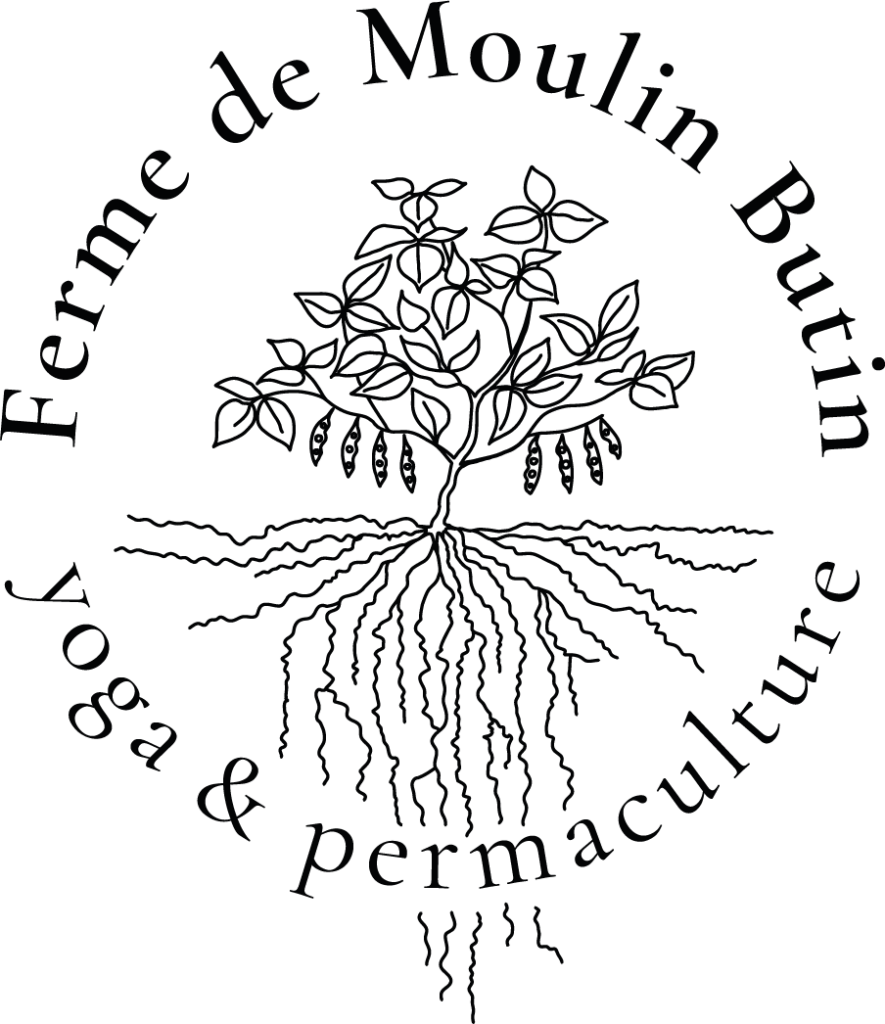 Accueil - Moulin Butin